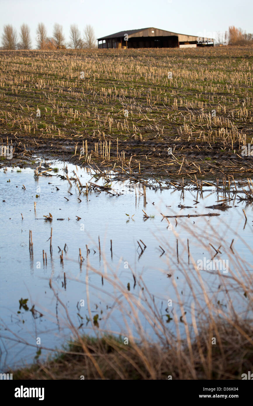 Flooded farm Fields Stock Photo - Alamy
