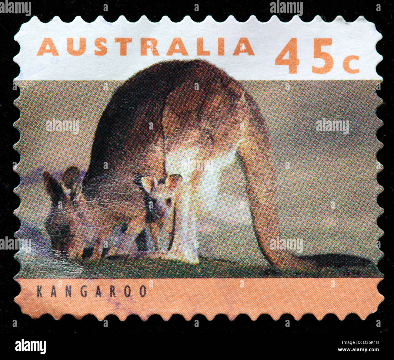Kangaroo, postage stamp, Australia, 1994 Stock Photo - Alamy