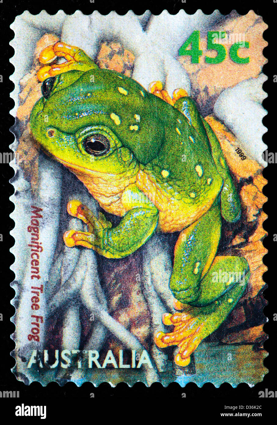 Magnificent tree frog, postage stamp, Australia, 1999 Stock Photo - Alamy
