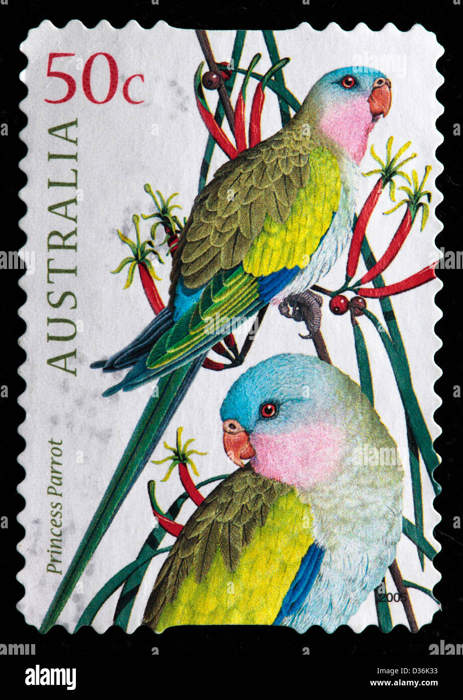 Princess parrot hi-res stock photography and images - Alamy