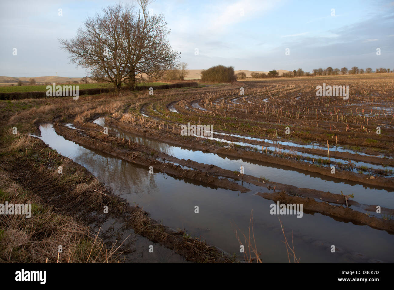 Flooded farm Fields Stock Photo - Alamy