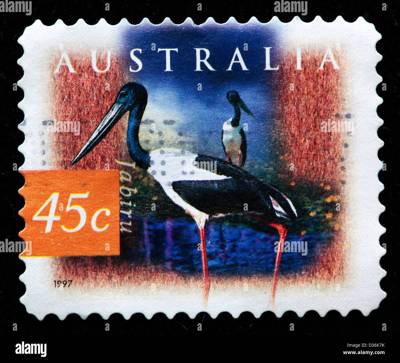 Jabiru illustration hi-res stock photography and images - Alamy