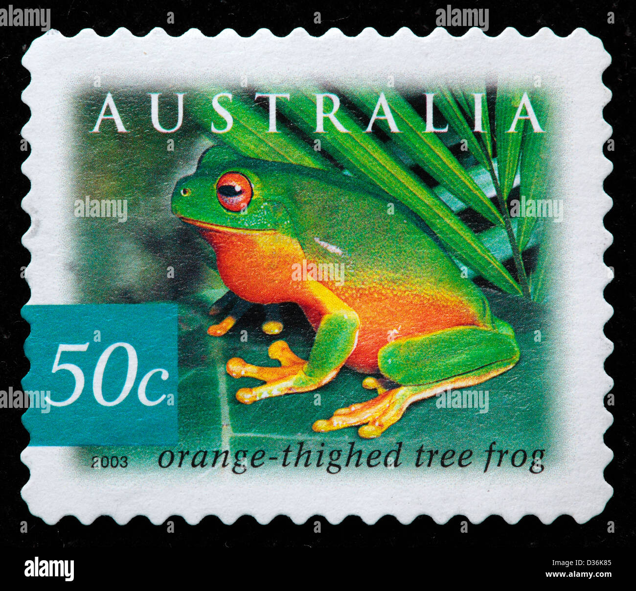Orange-thighed tree frog, postage stamp, Australia, 2003 Stock Photo ...