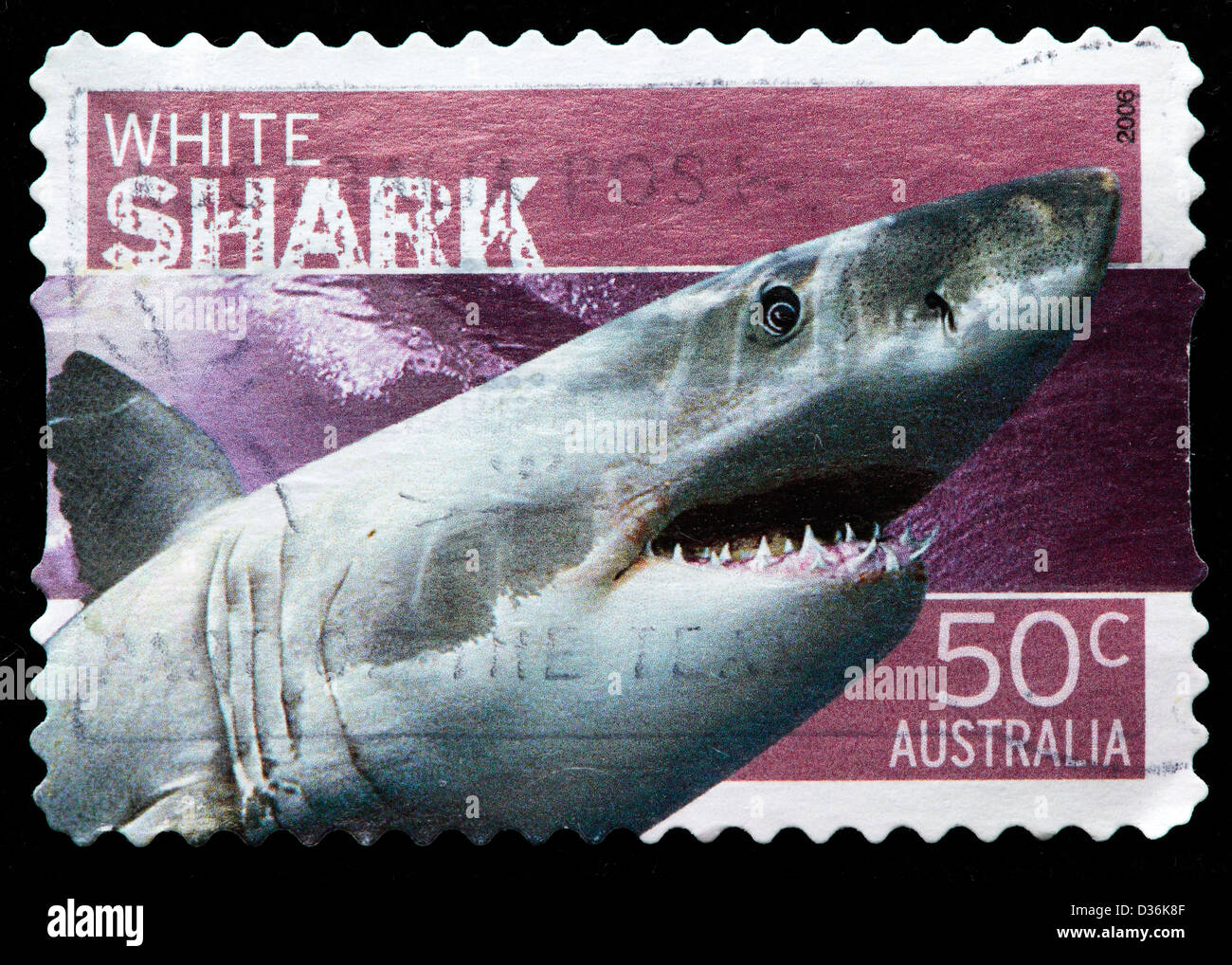 Shark history hi-res stock photography and images - Alamy