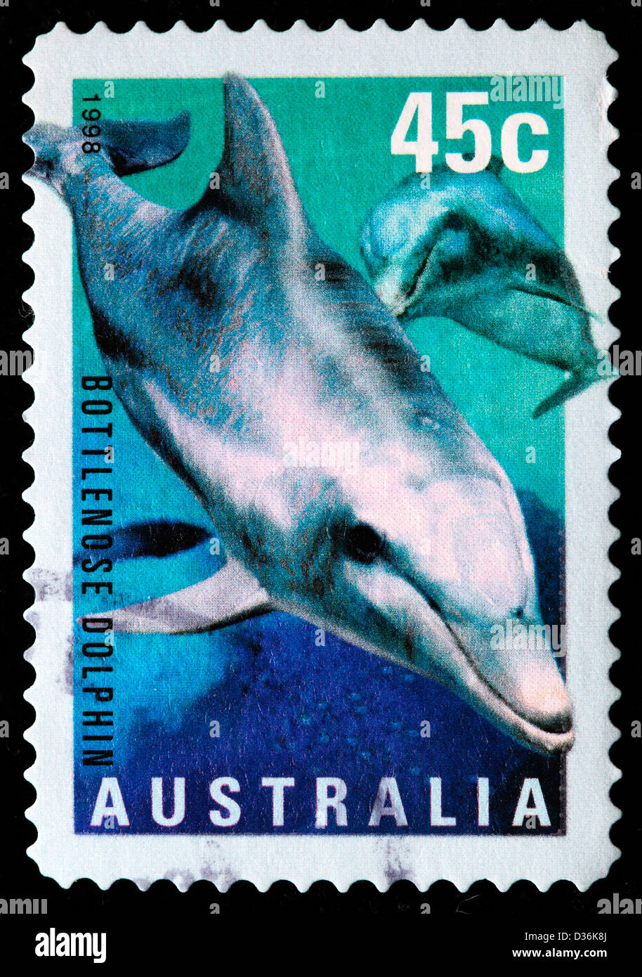 Bottlenose dolphin, Tursiops australis, postage stamp, Australia, 1998 ...