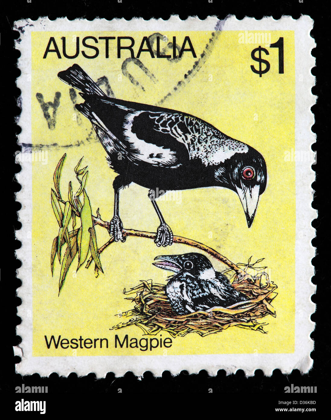 Western Magpie, postage stamp, Australia, 1980 Stock Photo - Alamy