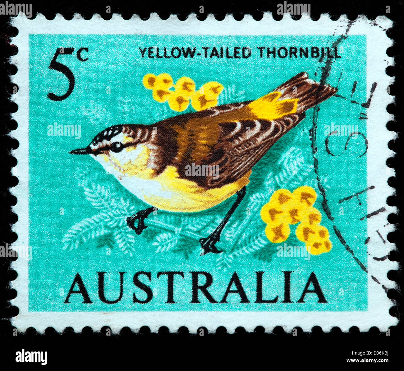 Yellow-tailed thornbill, postage stamp, Australia, 1963 Stock Photo - Alamy