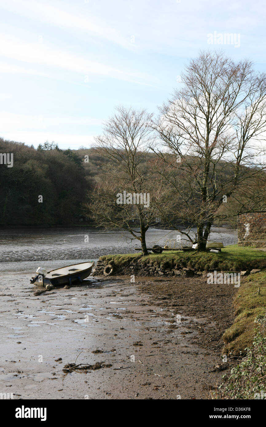 Wind-in-the-Willows territory Fowey river Cornwall between Lerryn and ...