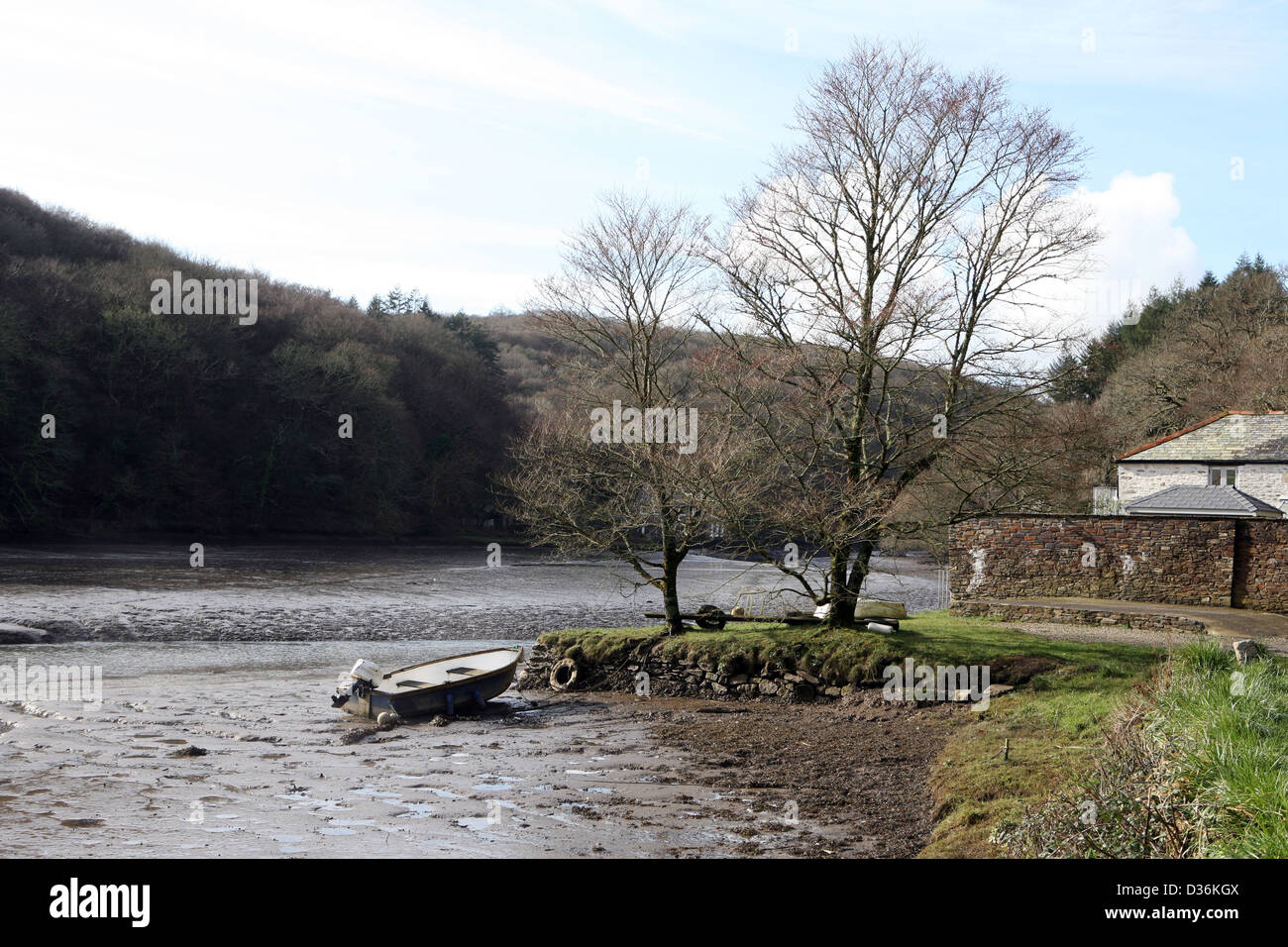 Wind-in-the-Willows territory Fowey river Cornwall between Lerryn and ...