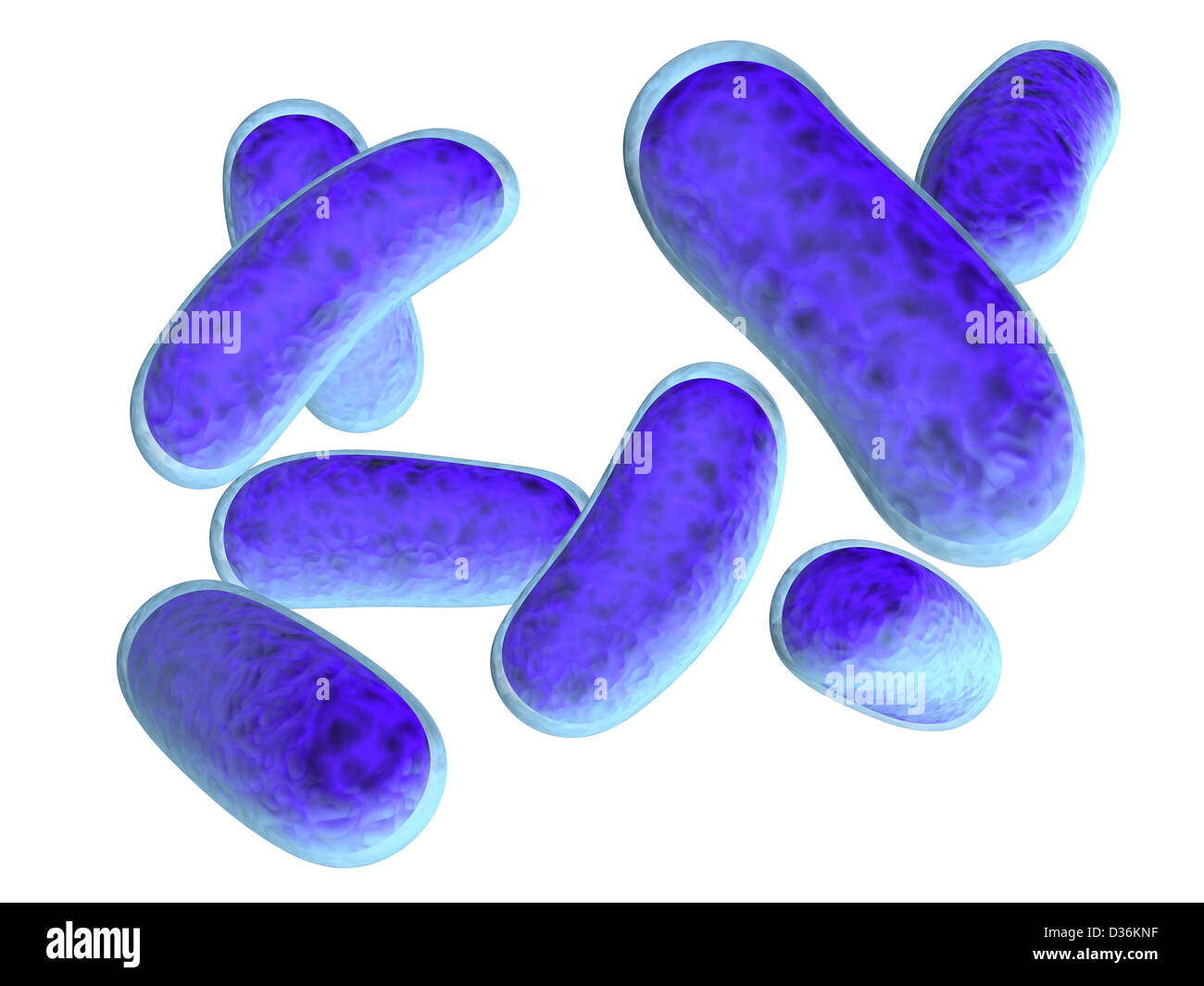 Bacillus Subtilis Stock Photos & Bacillus Subtilis Stock Images - Alamy