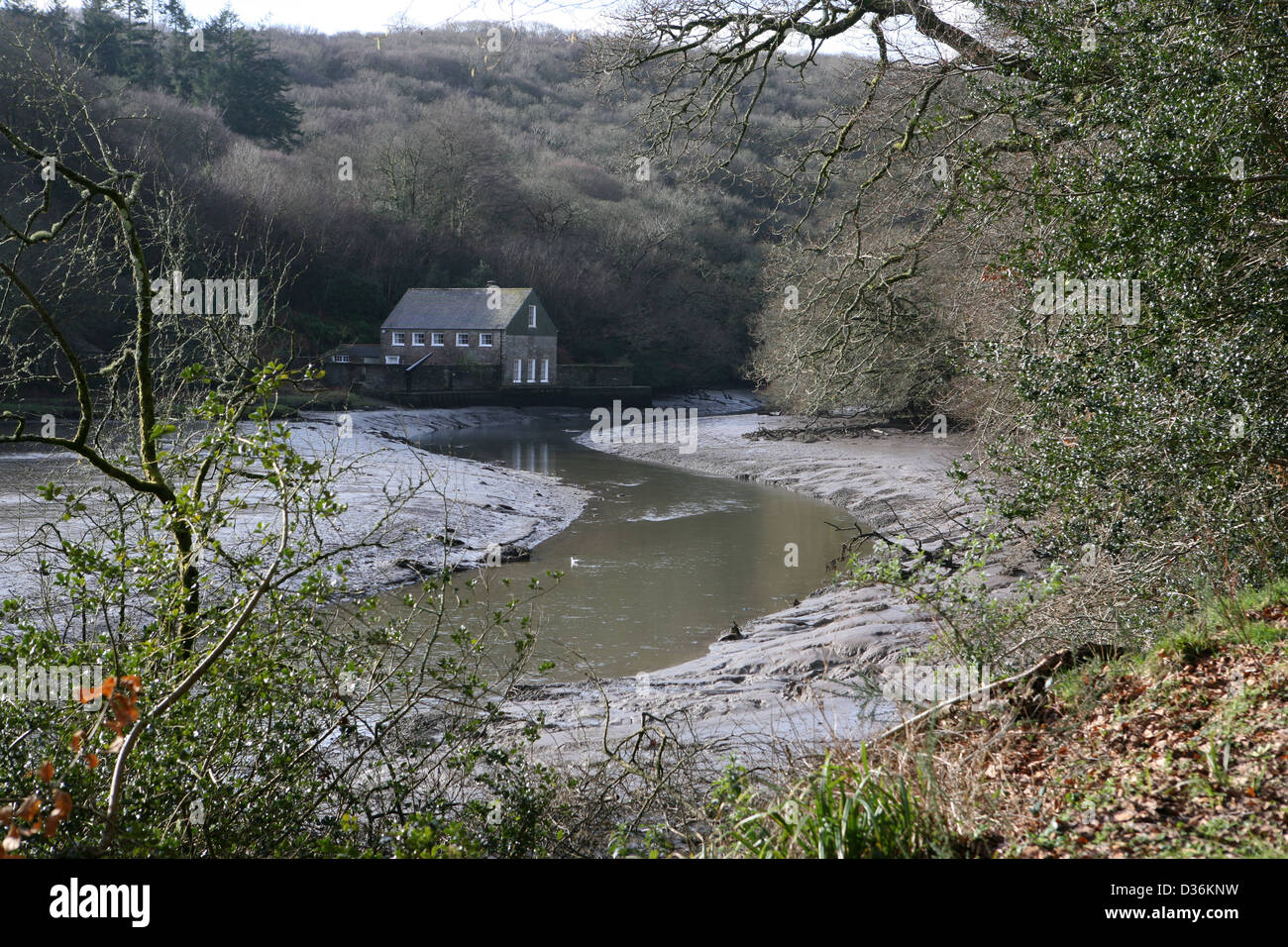 Wind-in-the-Willows territory Fowey river Cornwall between Lerryn and ...