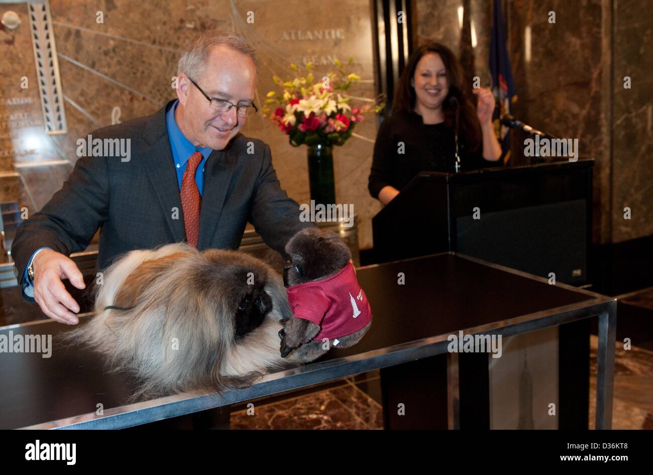 New York, New York, U.S. 11th Feb, 2013. The 2012 Westminster Kennel ...