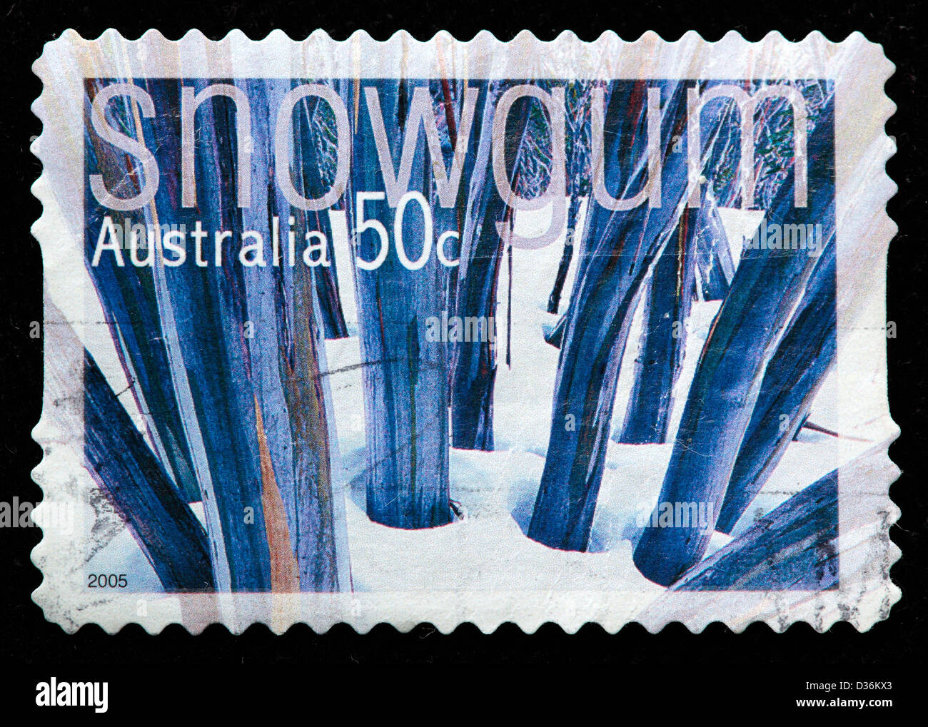 Snowgum, postage stamp, Australia, 2005 Stock Photo - Alamy
