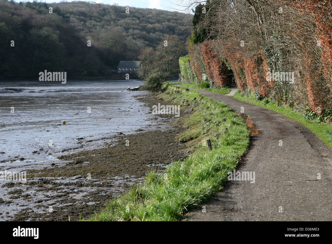Wind-in-the-Willows territory Fowey river Cornwall between Lerryn and ...