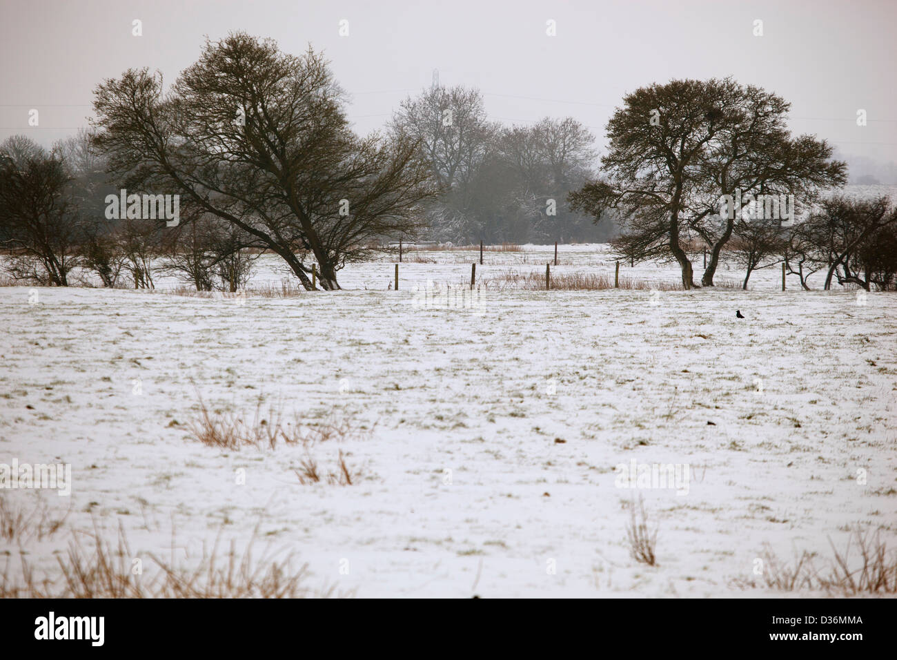 Snowy fields hi-res stock photography and images - Alamy