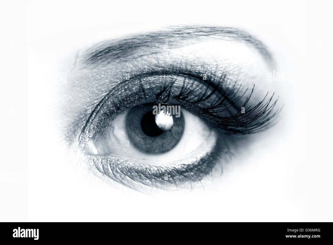 Open eye macro Cut Out Stock Images & Pictures - Alamy
