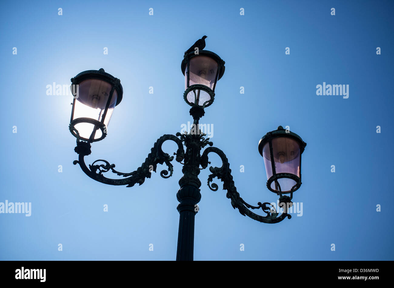 Ornate pigeon hi-res stock photography and images - Alamy