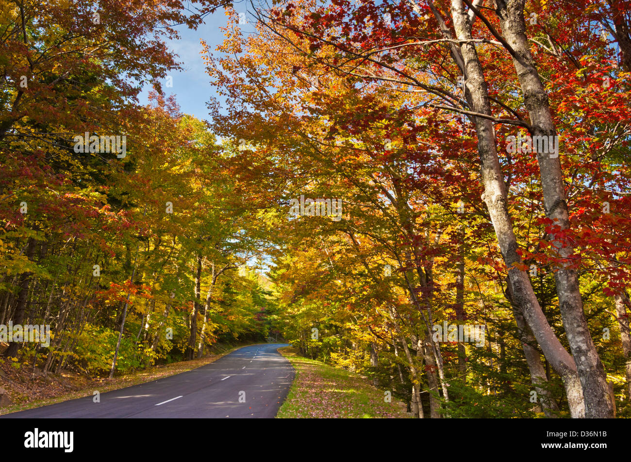 Autumn colours [Park Loop road] [Mount Desert Island] Acadia National ...