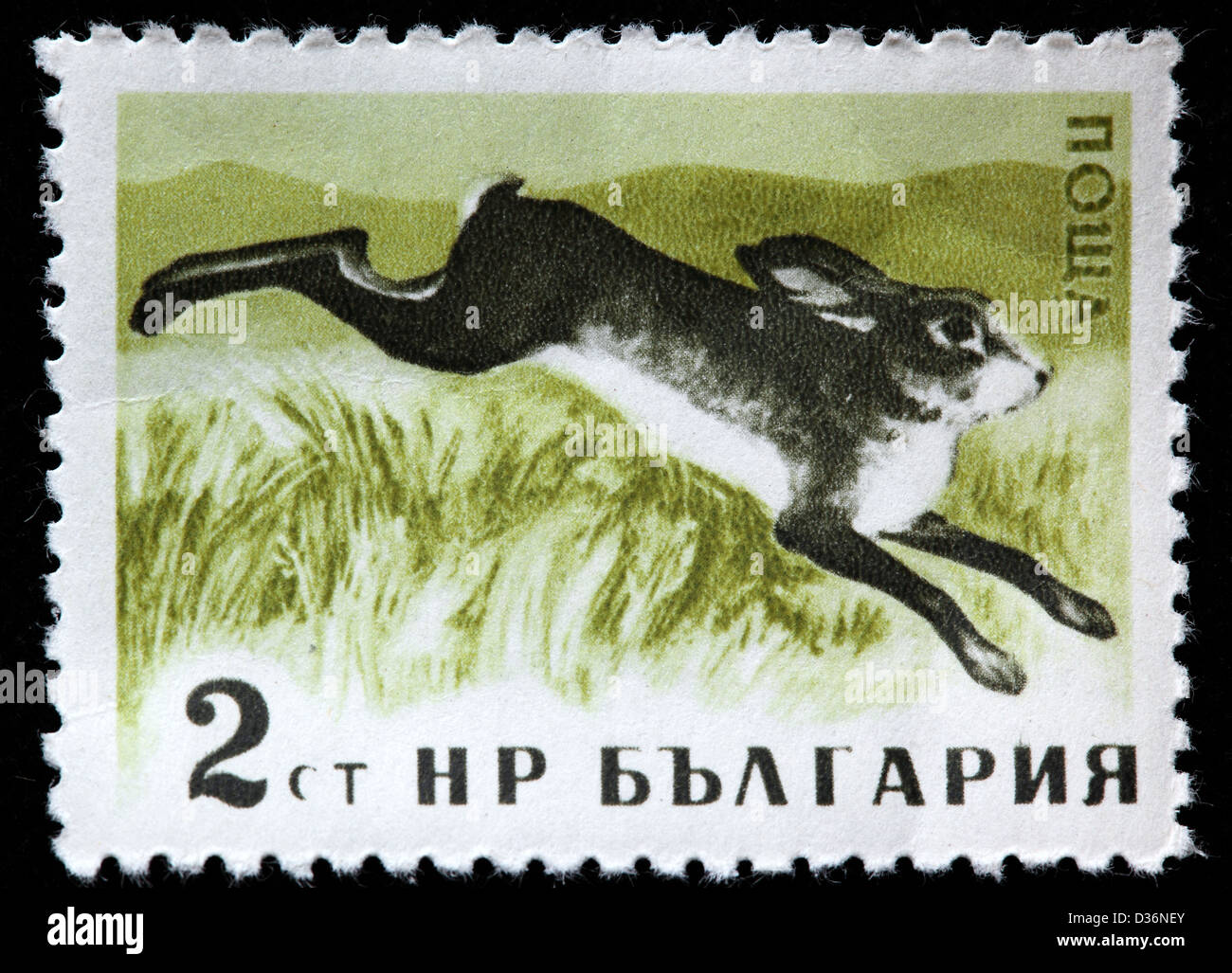 Illustration postage stamp bulgaria hi-res stock photography and images ...