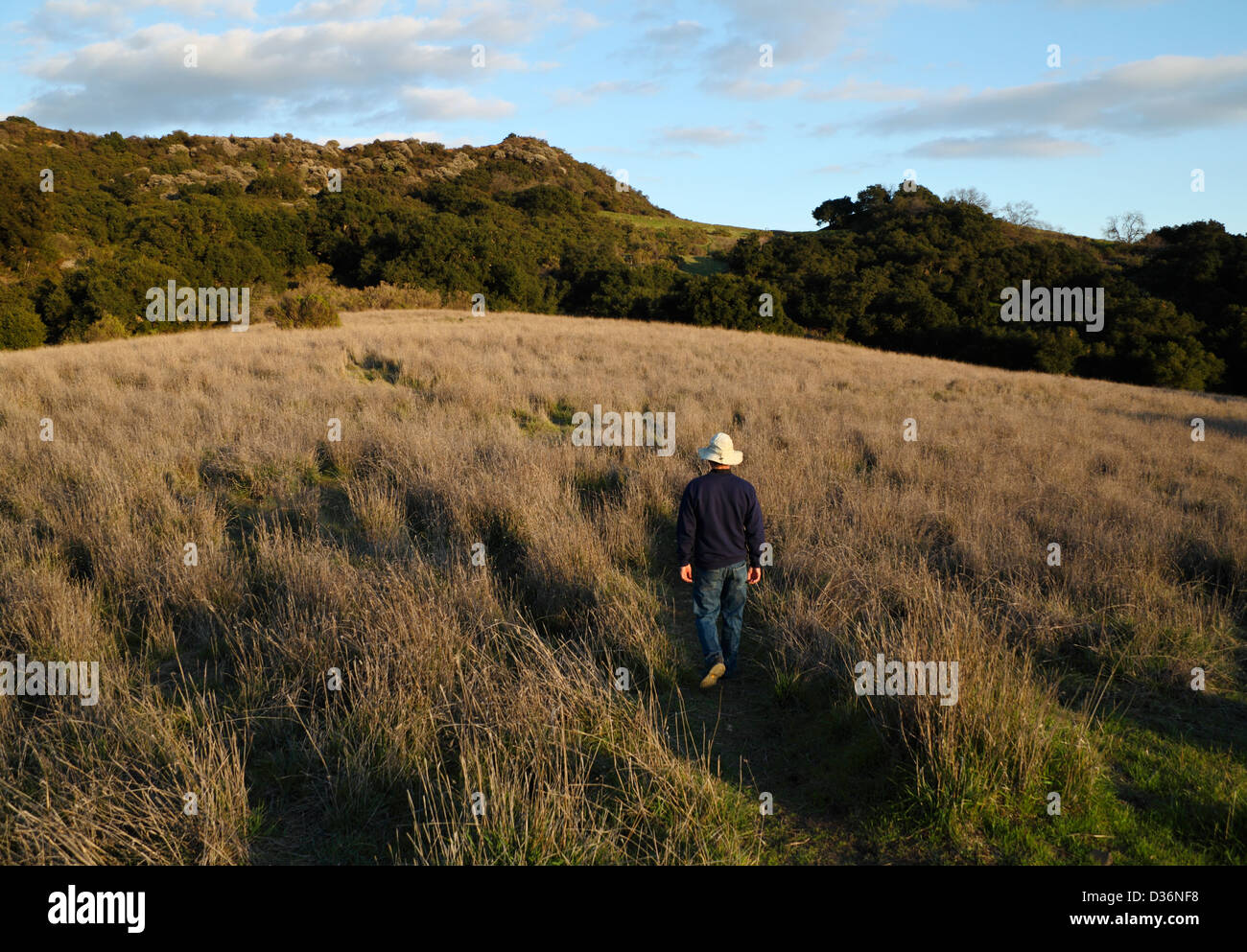 Hiker on meadow trail at Trippet Ranch in Topanga State Park in Topanga ...