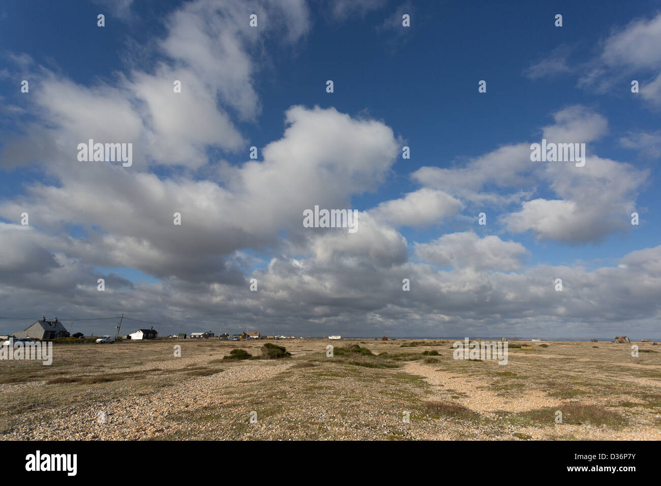 The shingle beach wilderness at Dungeness in Kent Stock Photo - Alamy