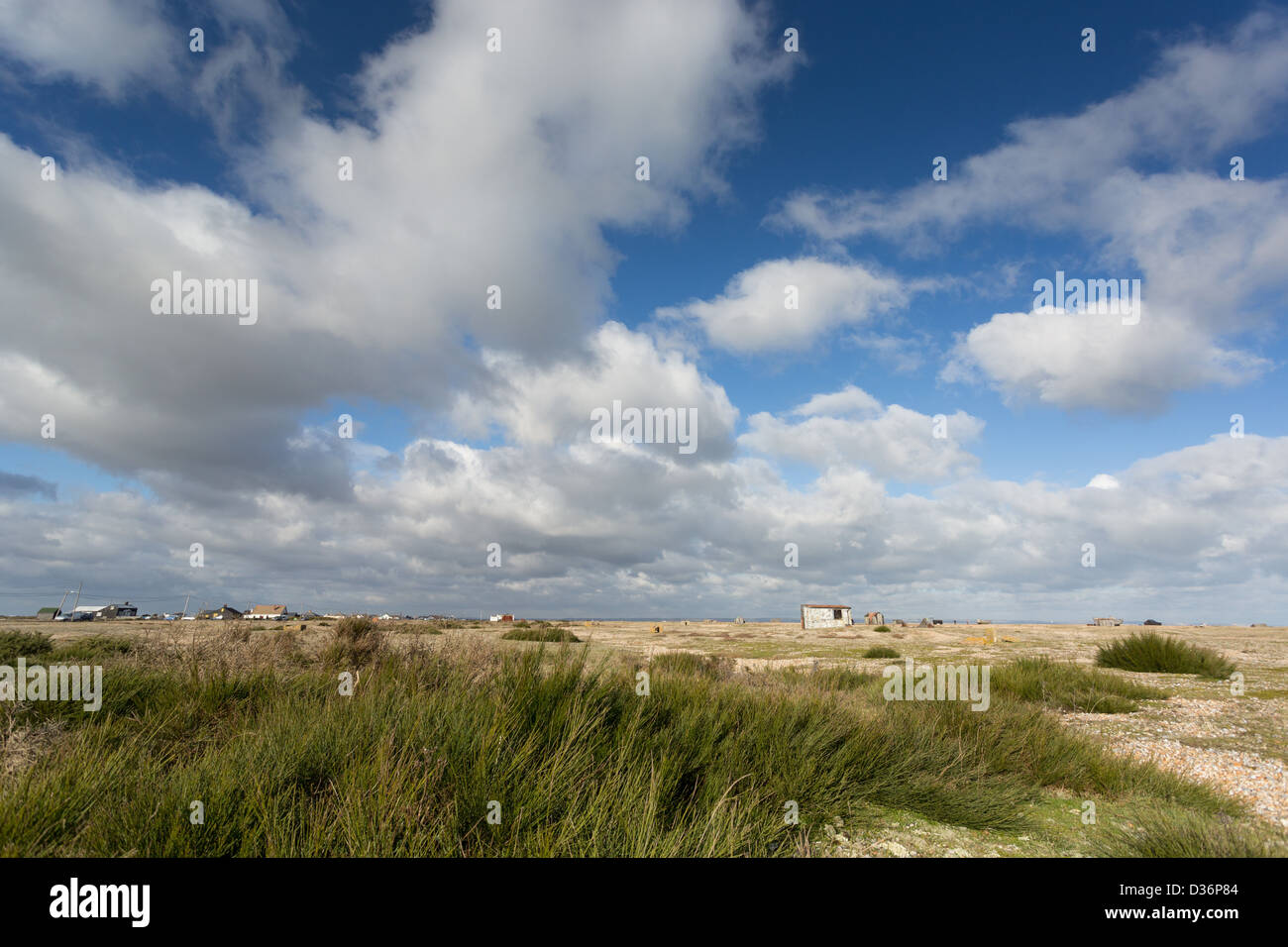 The shingle beach wilderness at Dungeness in Kent Stock Photo - Alamy