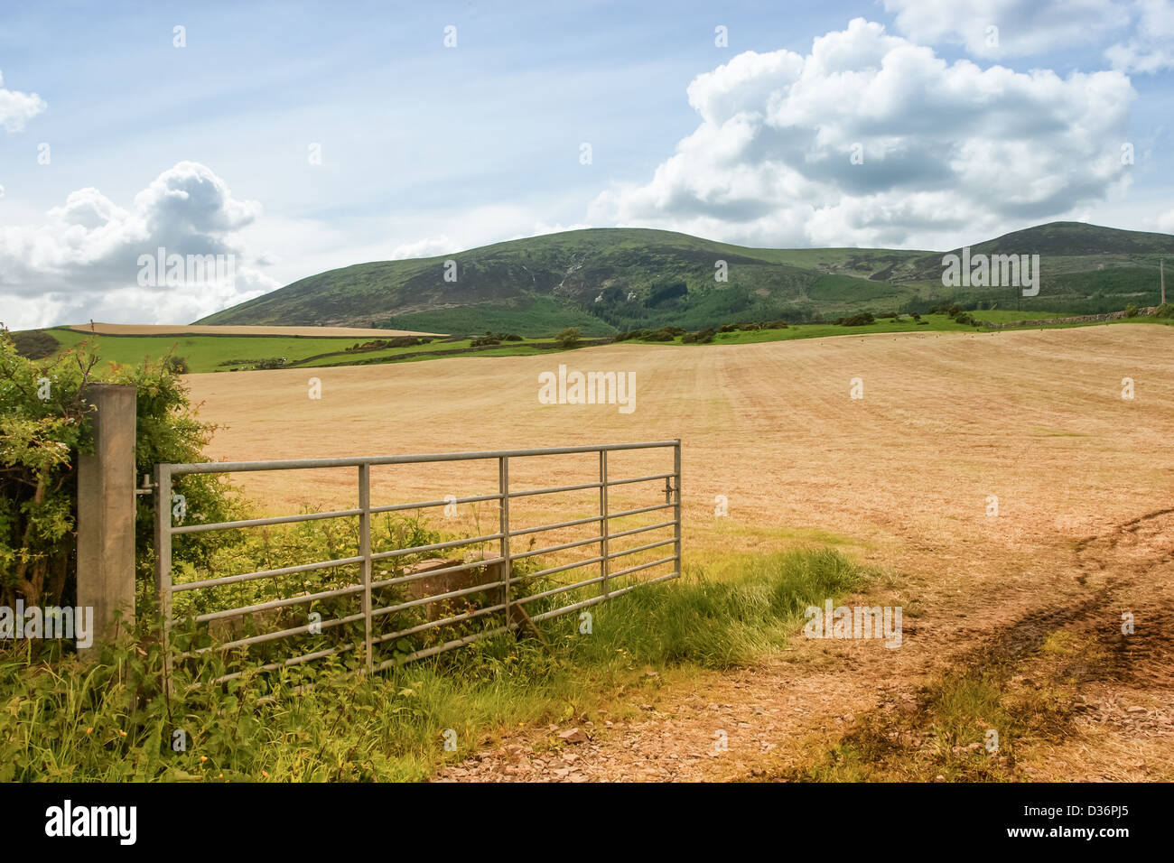 Open metal farm gate leading into a field in Northumberland Stock Photo ...