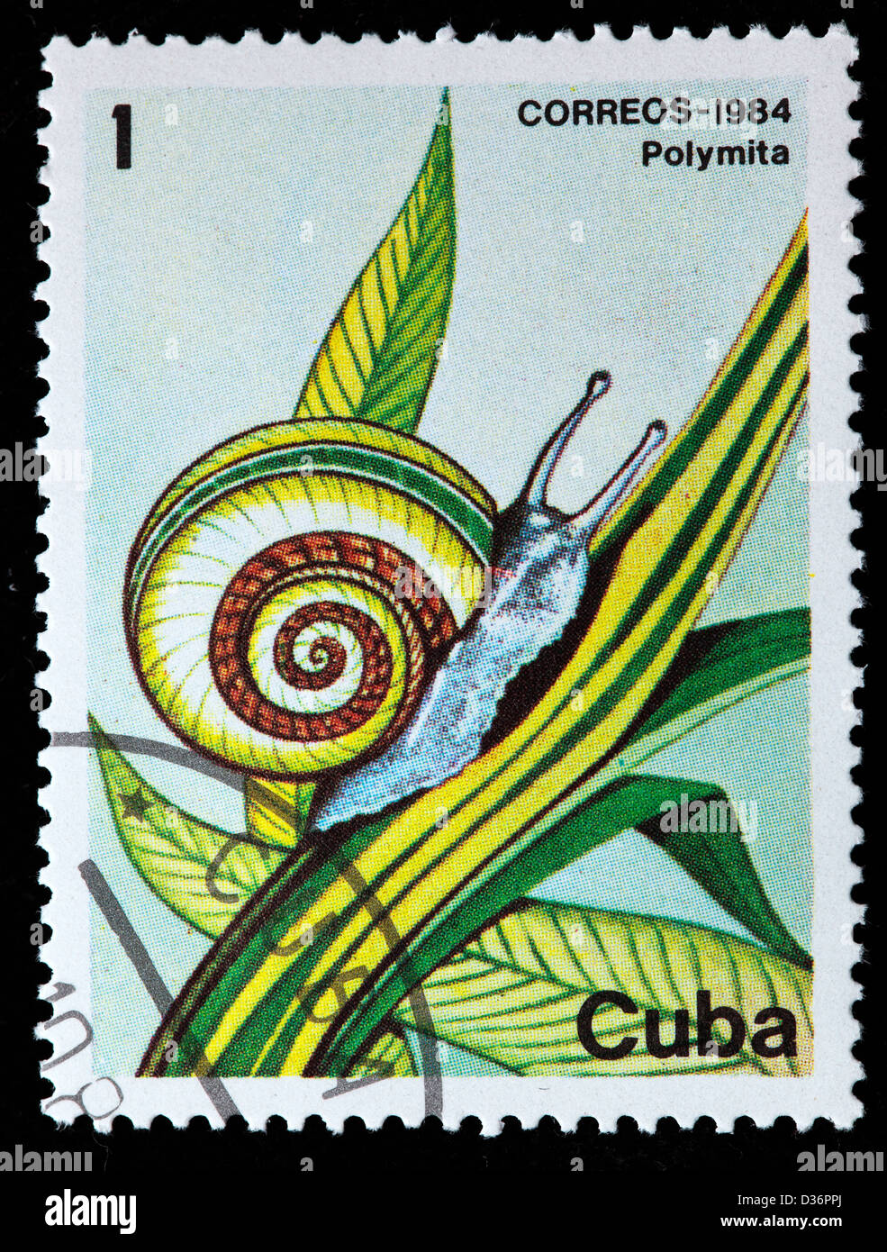 Polymita, postage stamp, Cuba, 1984 Stock Photo - Alamy
