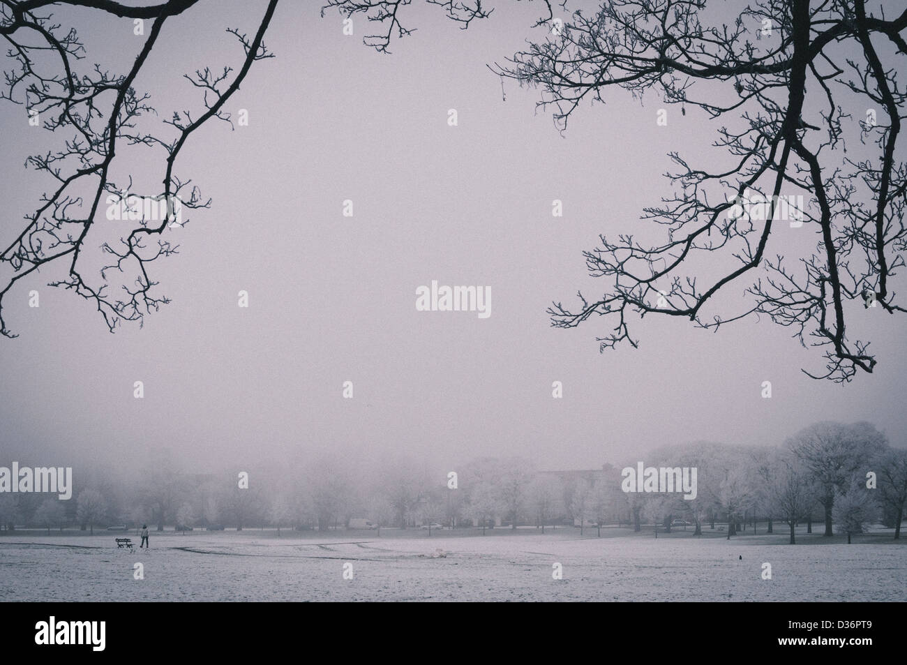 Harrogate stray snow hi-res stock photography and images - Alamy
