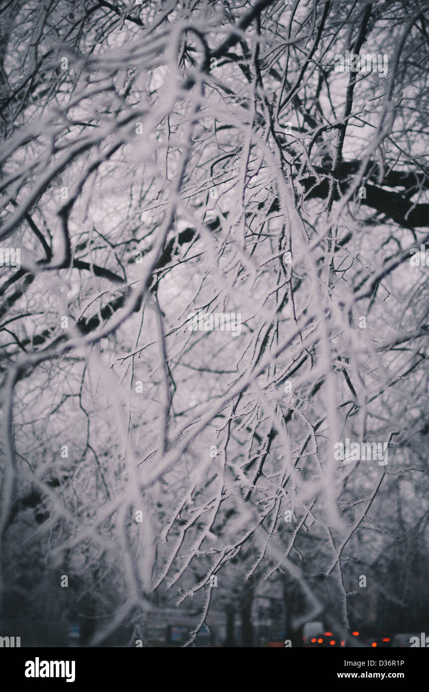 Dark Snow Filled Sky High Resolution Stock Photography and Images - Alamy