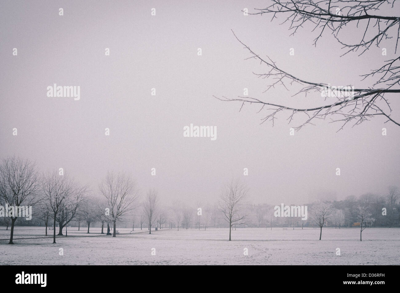 Harrogate stray snow hi-res stock photography and images - Alamy