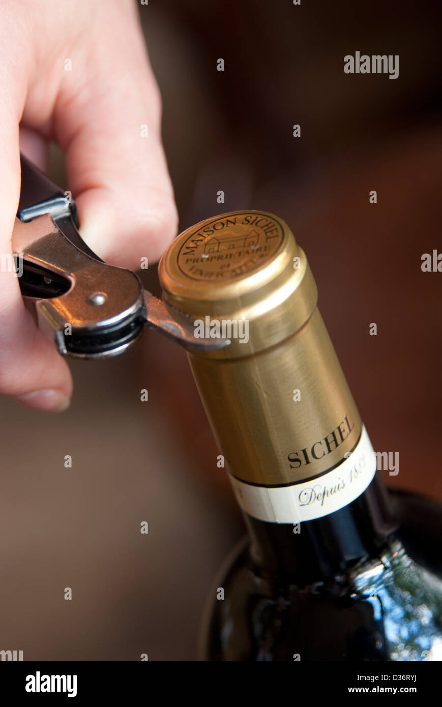 Sommelier Wine Waiter opening fine bottle of wine Stock Photo - Alamy
