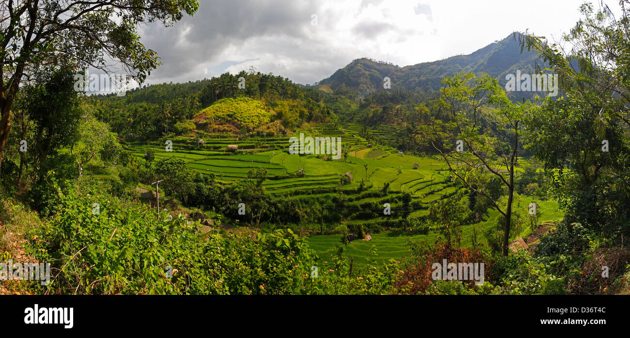 The hills of indonesia hi-res stock photography and images - Alamy