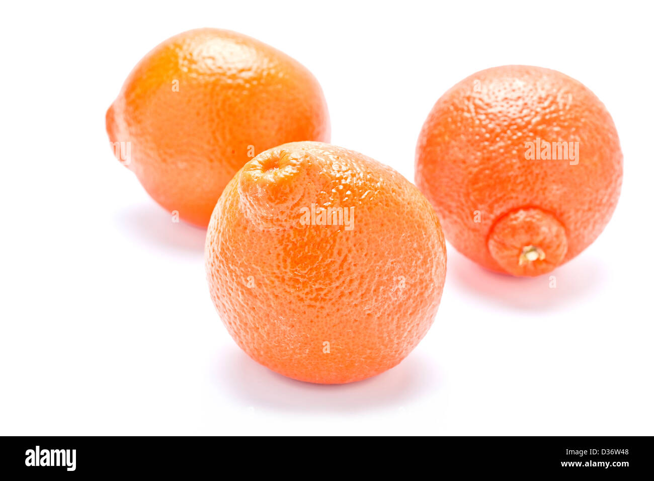 Showy Cut Out Stock Images & Pictures - Alamy