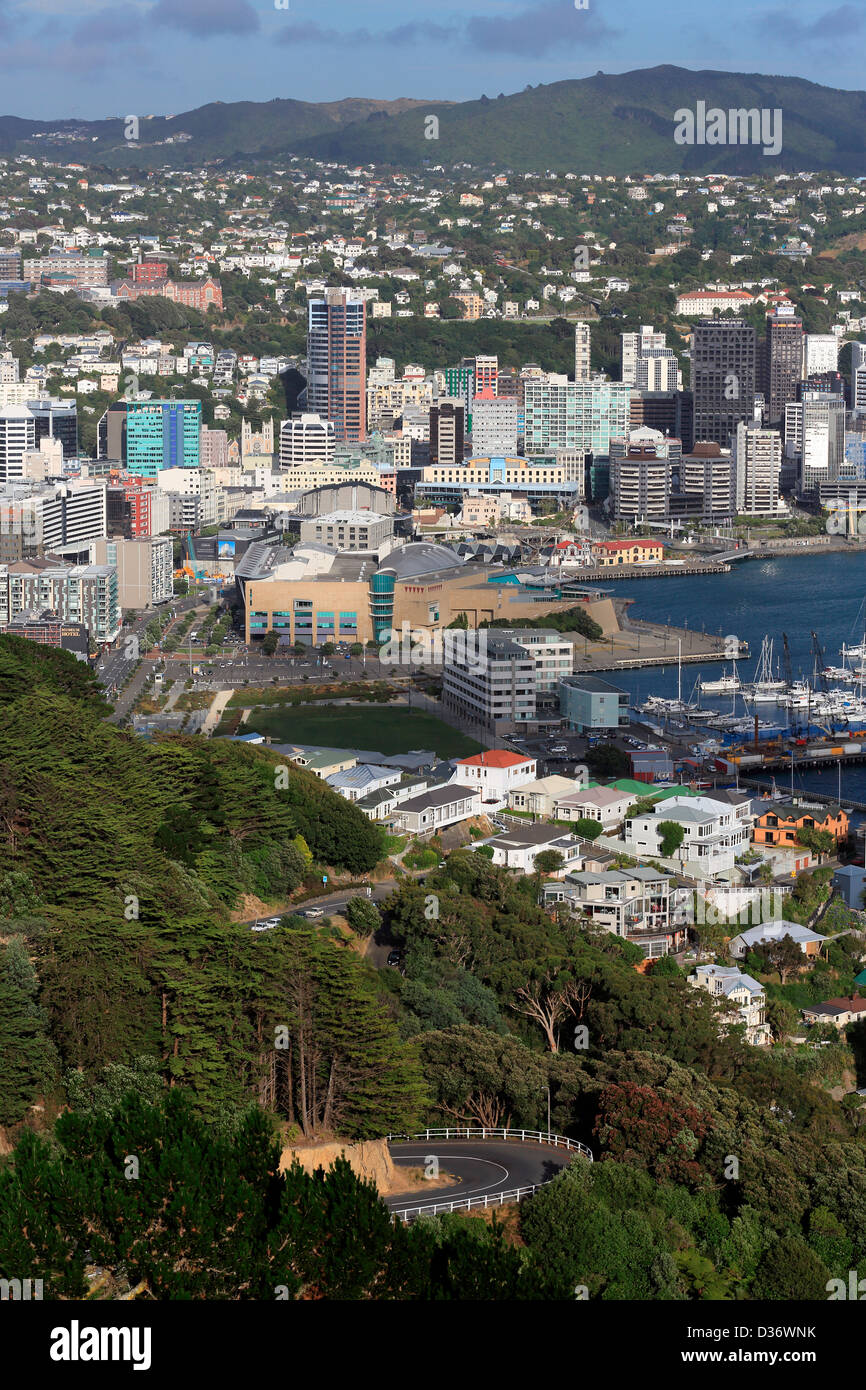View of Wellington city from Mount Victoria Stock Photo - Alamy