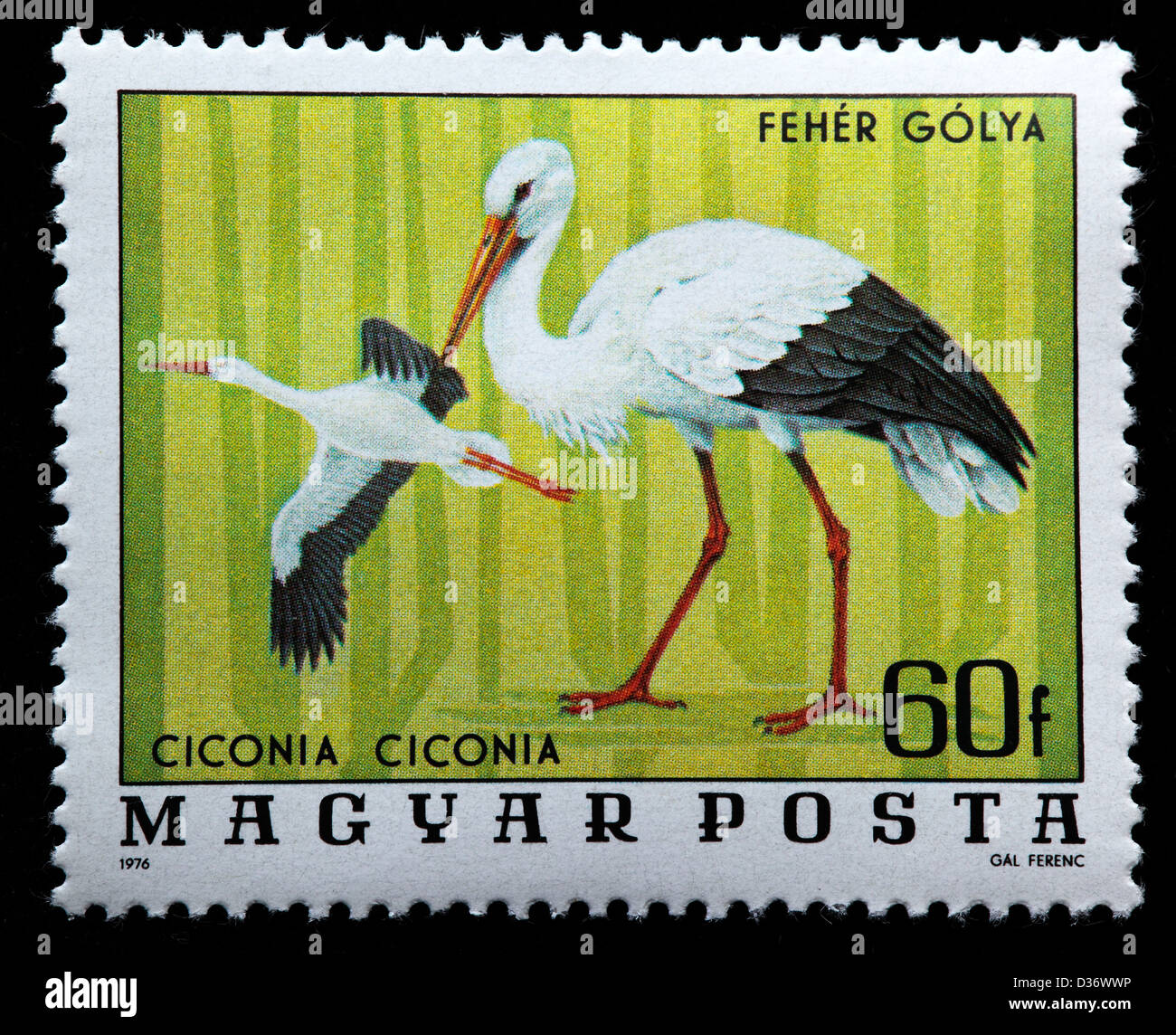 White Stork, (Ciconia ciconia), postage stamp, Hungary, 1976 Stock ...