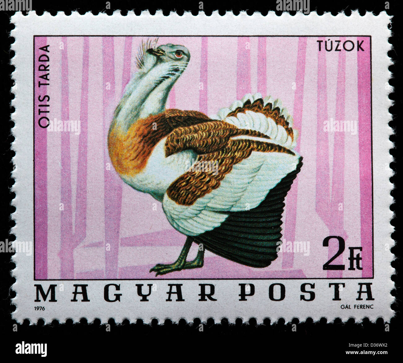 Great Bustard (Otis Tarda), postage stamp, Hungary, 1976 Stock Photo ...