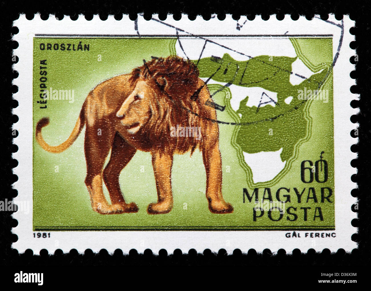 Lion (Panthera leo), postage stamp, Hungary, 1981 Stock Photo - Alamy