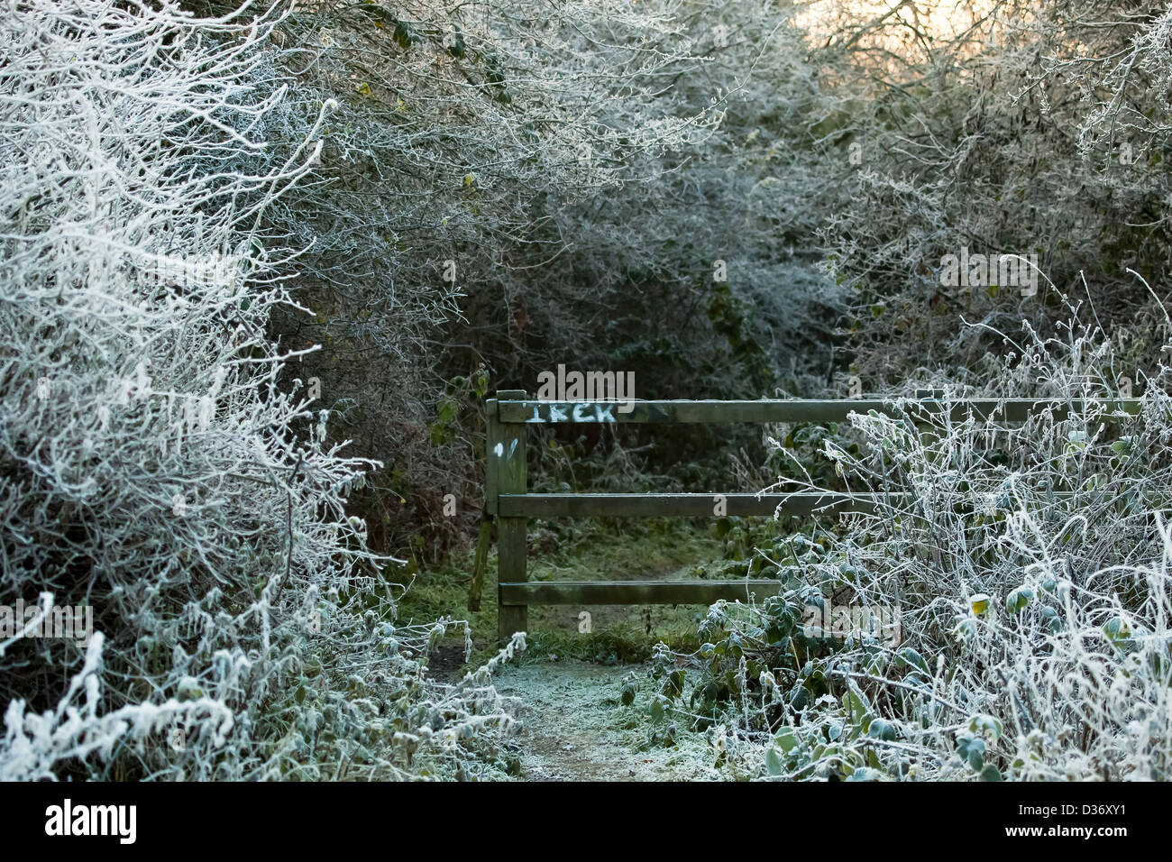 London Winter Landscape Stock Photo - Alamy