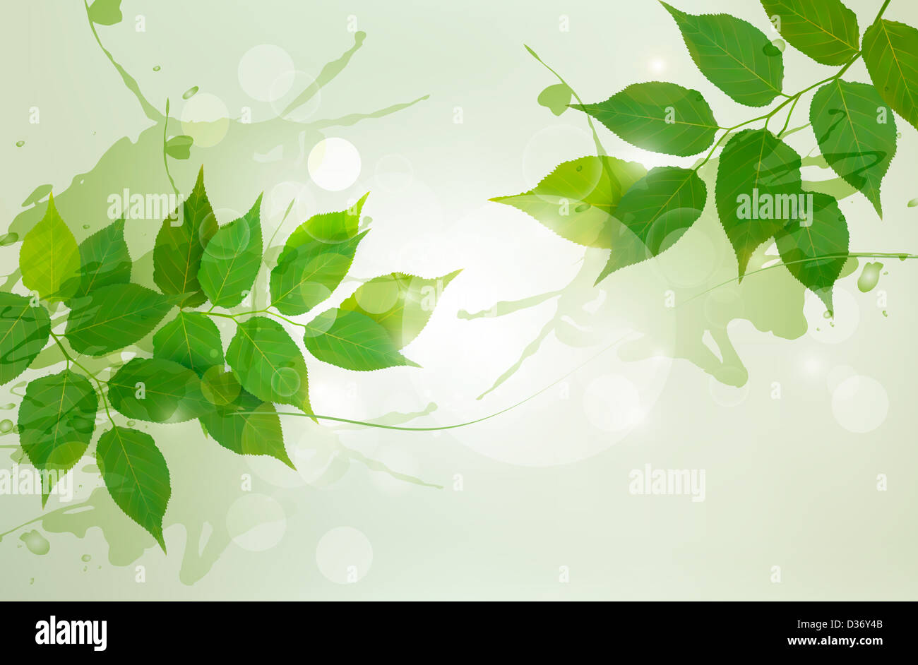 Nature background with green spring leaves Stock Photo - Alamy