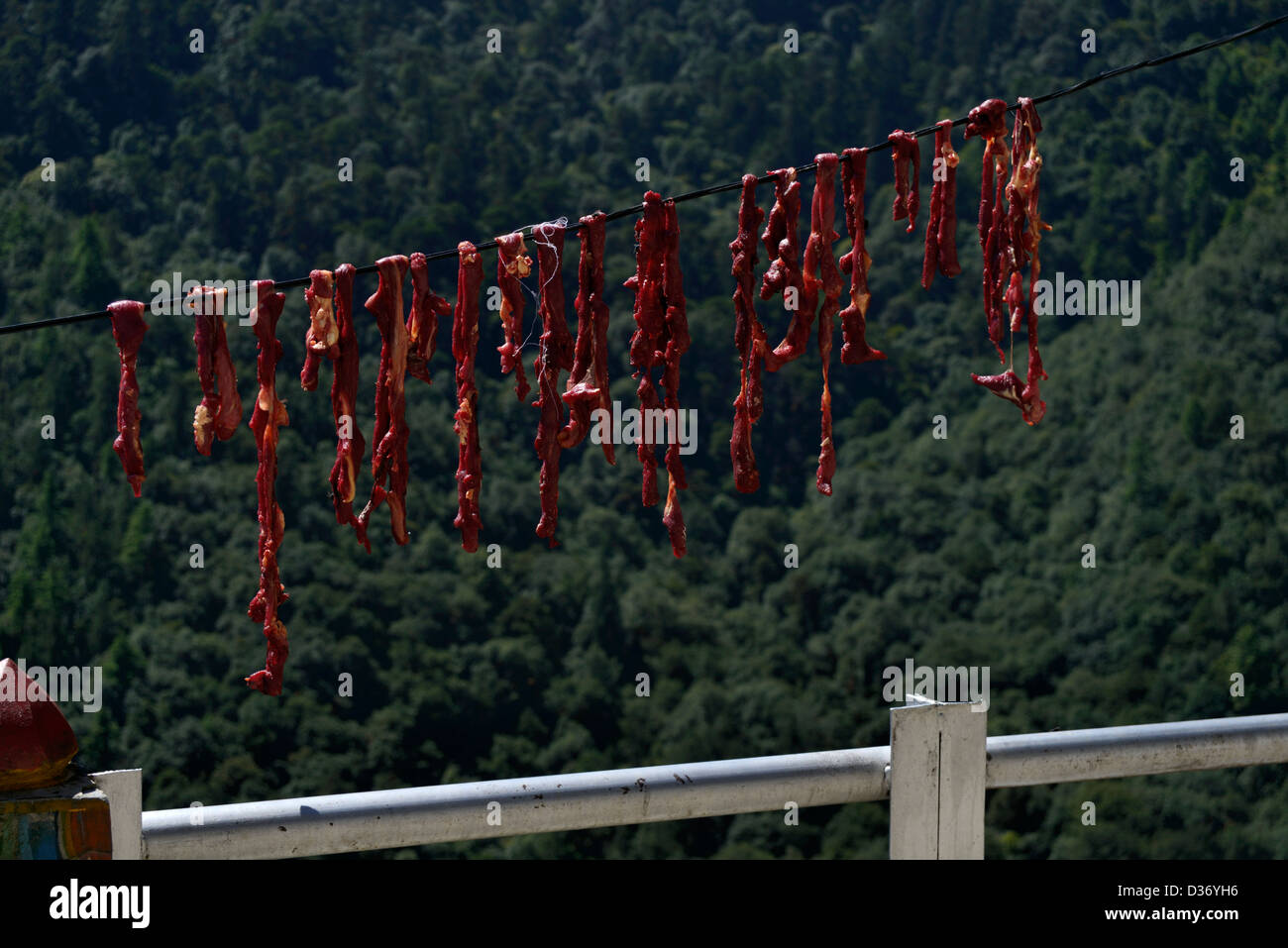 Cheri Goemba (monastery),or Chagri dorjidhen,high up in the Himalayan ...