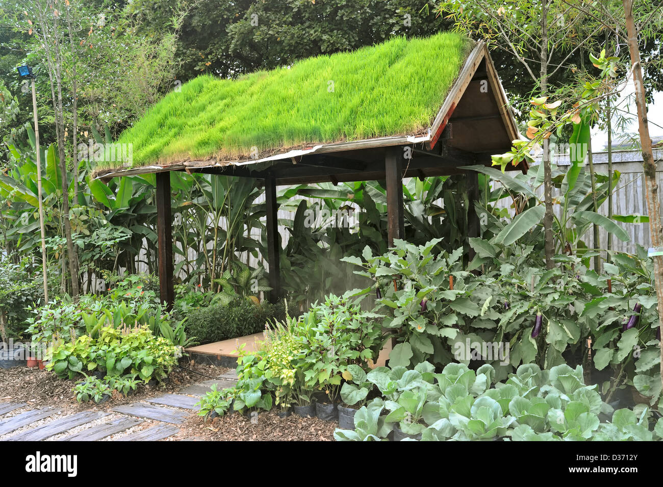 A beautiful hut using grass as roof top to provide cooling shade in hot ...
