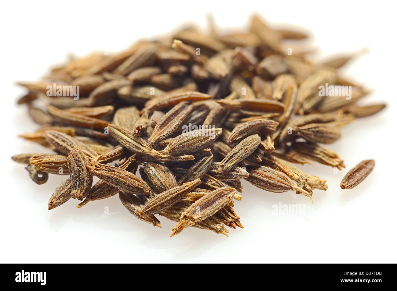 Extreme Close Up of Cumin Seeds in seamless white background with ...