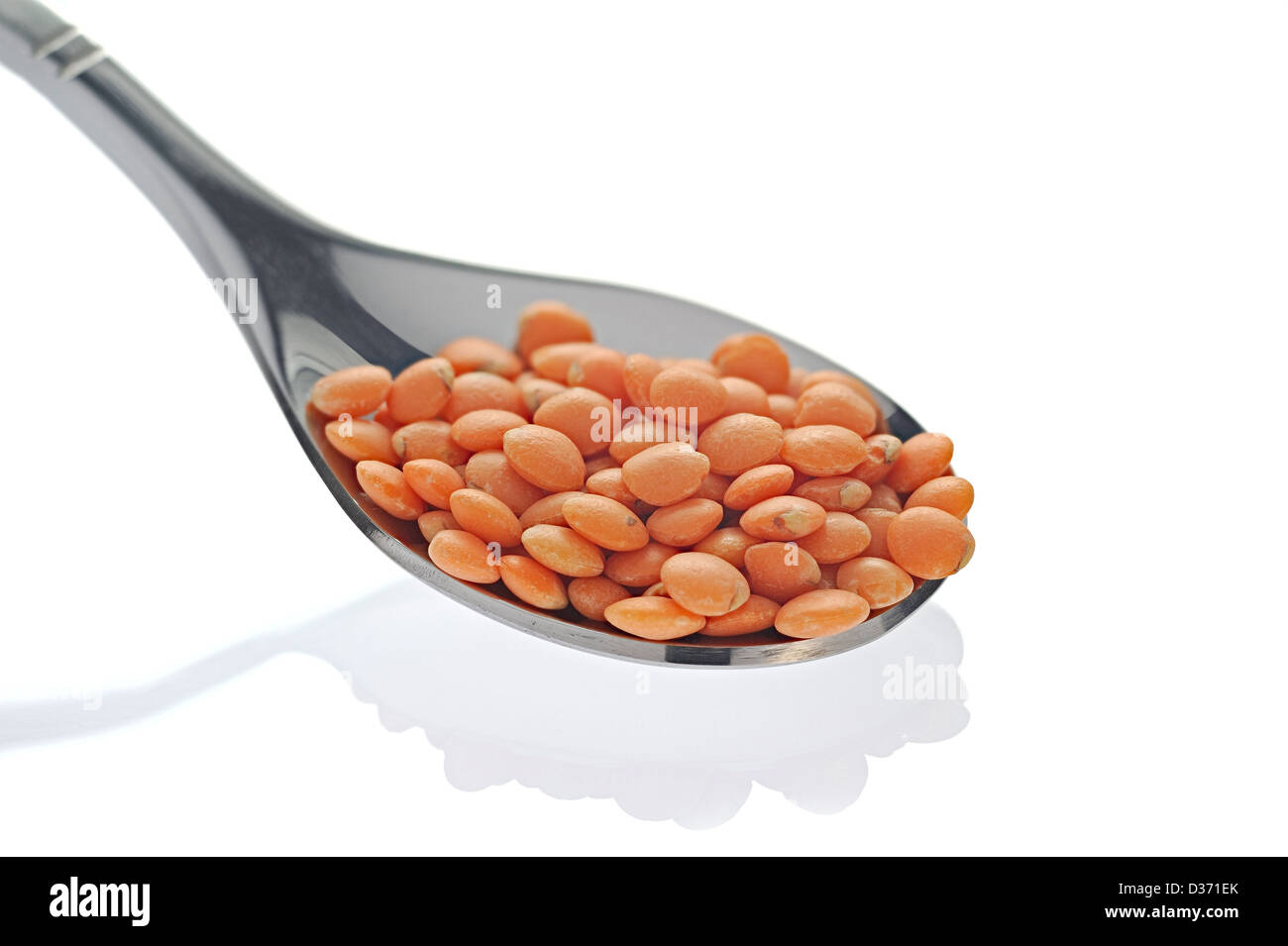 Organic Whole Red Lentils on teaspoon with shadow and seamless white ...