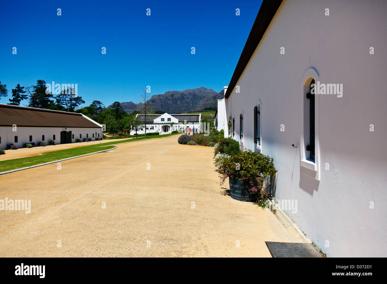 A Cape Wine farm in South Africa Stock Photo - Alamy