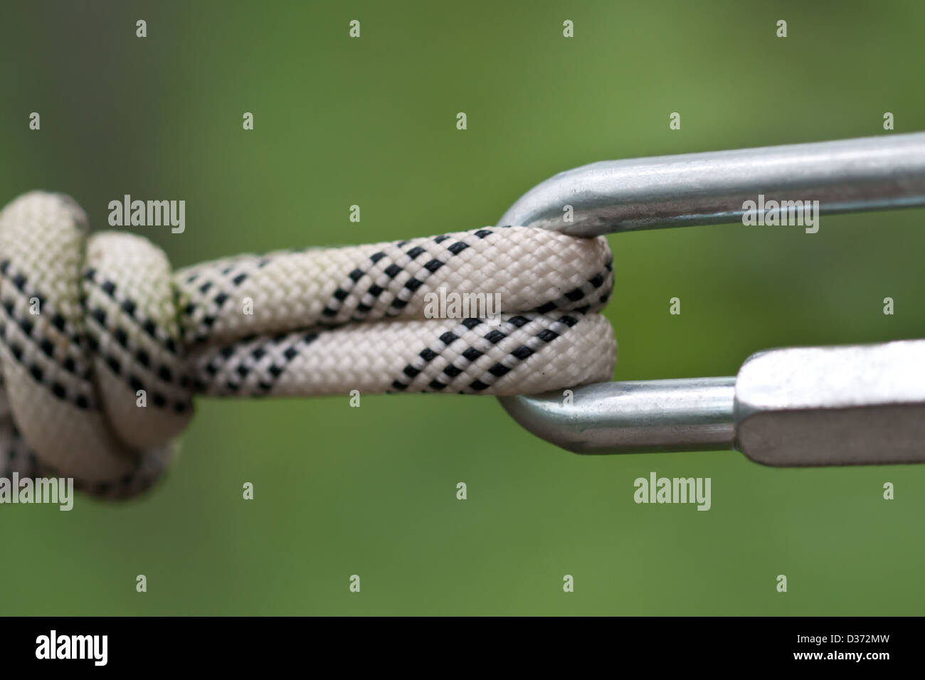Close-up photo of rope with knot tied on green background Stock Photo ...