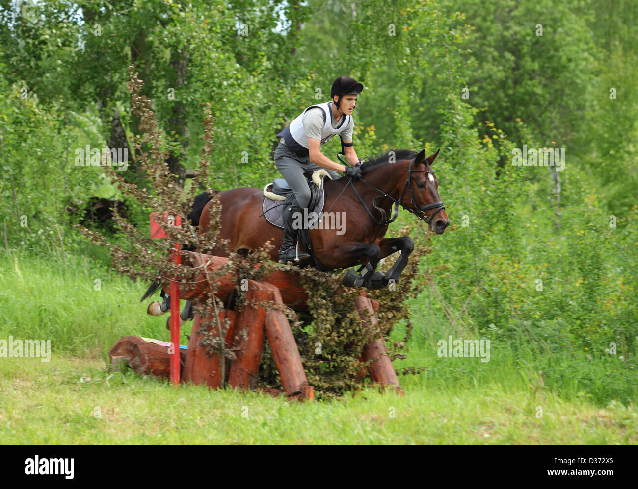 Horse and rider are navigating a jump on a 3-day eventing, cross ...