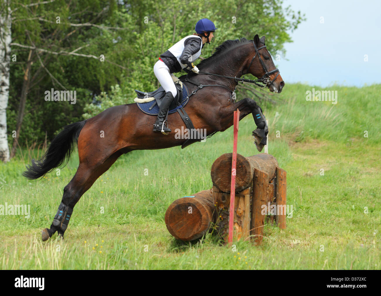 Horse and rider are navigating a jump on a 3-day eventing, cross ...