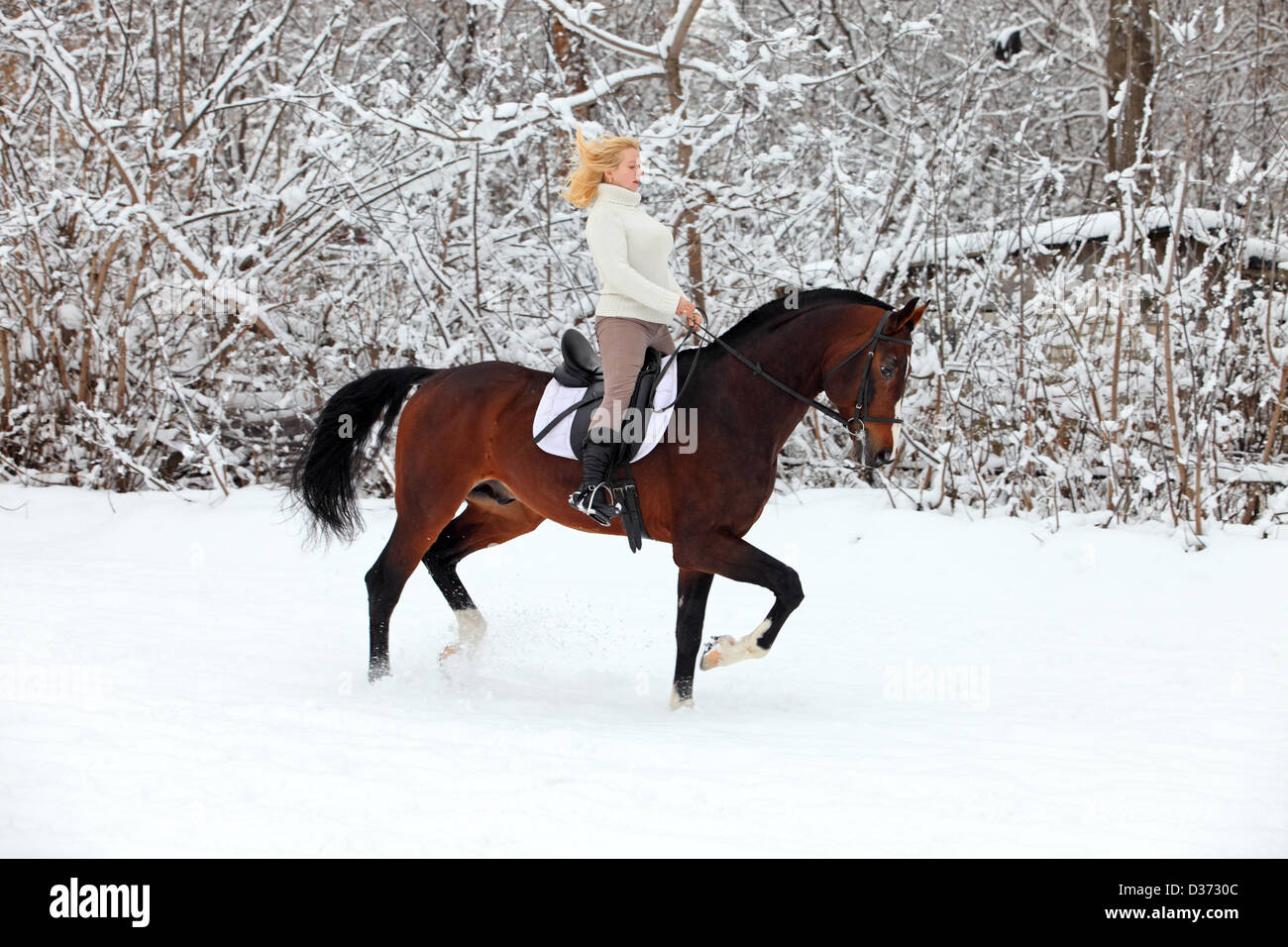 Relaxation in the snow hi-res stock photography and images - Alamy