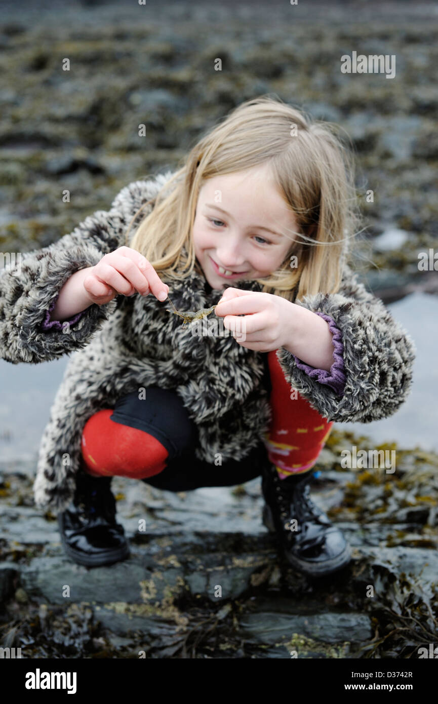 Exploring Rockpools High Resolution Stock Photography and Images - Alamy